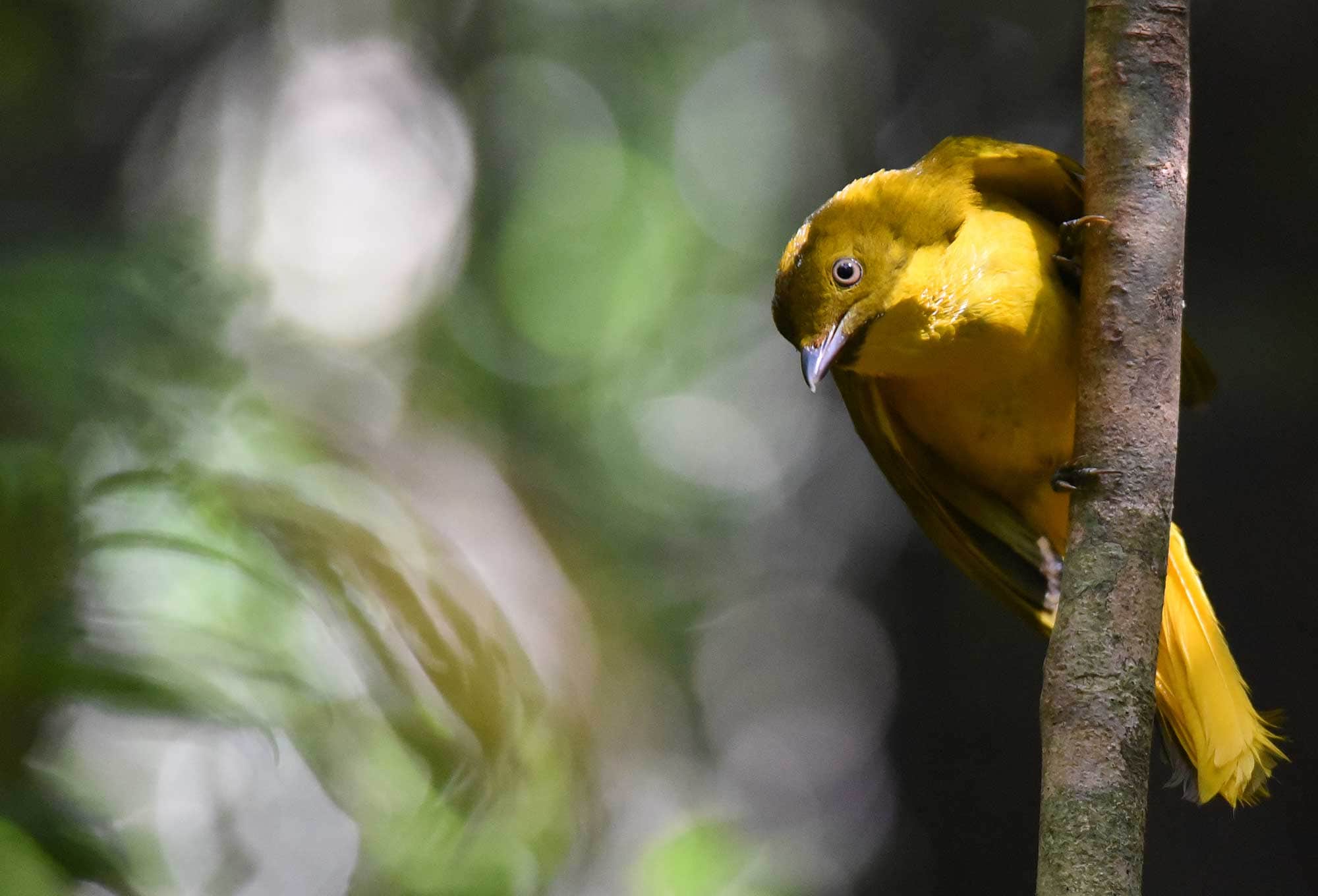 Birdshot Photography – A Family Adventure and Obsession